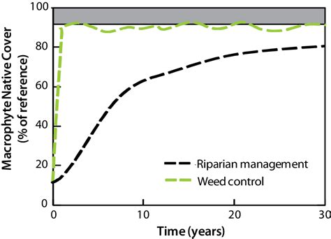 35 Hypothetical Macrophyte Native Cover After Riparian Management Or