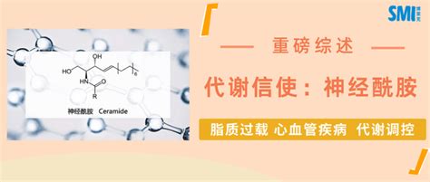 重磅综述丨nat Metab代谢信使：神经酰胺 知乎