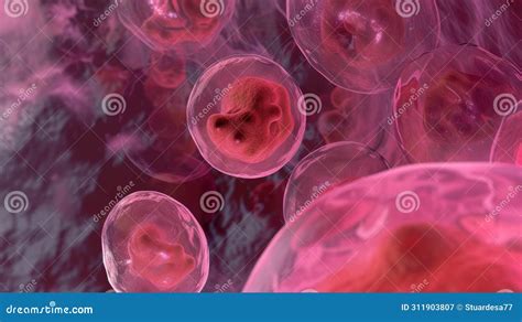 Abstract Cellular Structures Close Up Stock Image Image Of Abstract Magnification 311903807