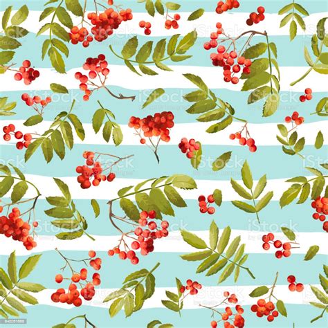 가 Rowanberry 완벽 한 배경입니다 가 꽃 패턴 벡터에 열매와 잎 10월에 대한 스톡 벡터 아트 및 기타 이미지 10