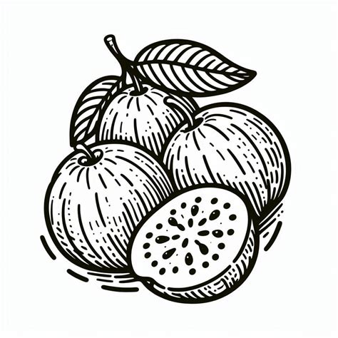 ภาพระบายสีฝรั่งหวาน ดาวน์โหลด พิมพ์ หรือระบายสีออนไลน์ได้ฟรี