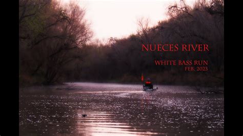 Nueces River White Bass Run 2023 Youtube