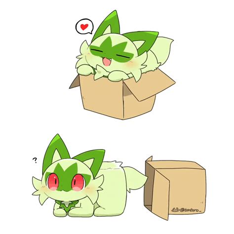 Sprigatito In A Box By Tontaro Sprigatito Know Your Meme