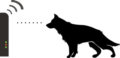 Network Monitoring SystemKTS