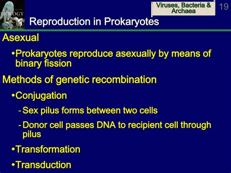 Ppt Outline Powerpoint Presentation Free Download Id3101013