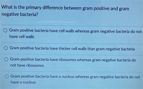 What Is The Primary Difference Between Gram Positive And Gram Negative Bacteria Gram Positive