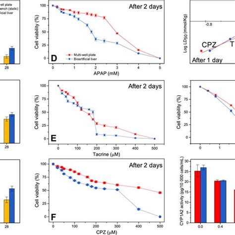 Functional Maintenance Over 28 D Of Primary Mouse Hepatocytes Cultured