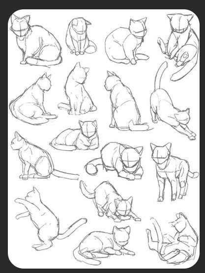 Best How To Draw A Realistic Cat Draw Real Cat Step By Step Drawing Guide By Dawn Artofit