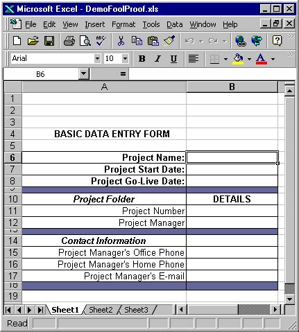 Designing A Foolproof Data Entry Form