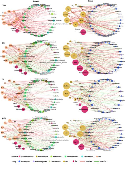 庞学勇团队解析了厚壁隔孢伏革菌（peniophora）提升果枝残余物堆肥效率的关键机制 生物通
