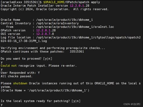 oracle19c单机静默安装及补丁升级 oracle补丁安装 csdn博客