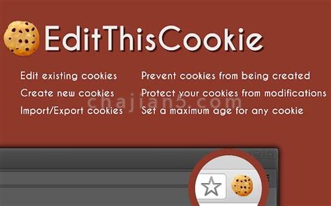 谷歌浏览器插件editthiscookie 可删除 编辑 屏蔽的cookie管理器 （chrome插件）谷歌浏览器插件网