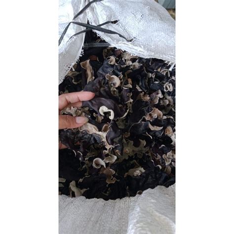 Jual Jamur Kuping Kering Non Kimia Budidaya Sendiri 200 Gr500 Gr
