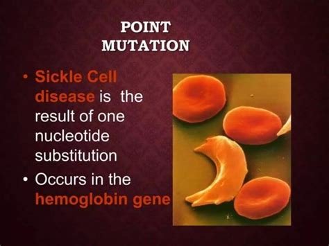 Unit Ii Polyploidy Mutation And Hybridization With Reference To Medicinal Plantspdf