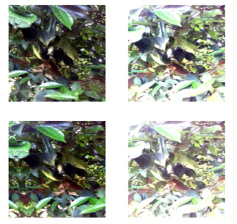 Data Augmentation To Overcome Data Scarcity In Precision Agriculture