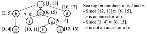 Region Numbering Example Download Scientific Diagram