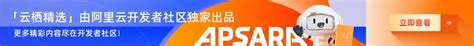 全球13家企业联合发起：risc V软件生态计划“rise”正式启动！ 阿里云开发者社区