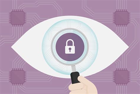 Iris Recognition Biometric Systems Stock Illustration Download Image