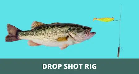 Drop Shot Rig 101 Rigging Fishing Guide With Pictures