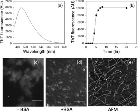 Characterization Of Uhc Fibrils A Tht Fluorescence Emission Spectrum