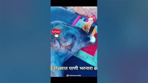जय बाळूमामा 🥰 Youtube