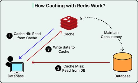 Sql Vs Nosql Choosing The Right Database For An Application