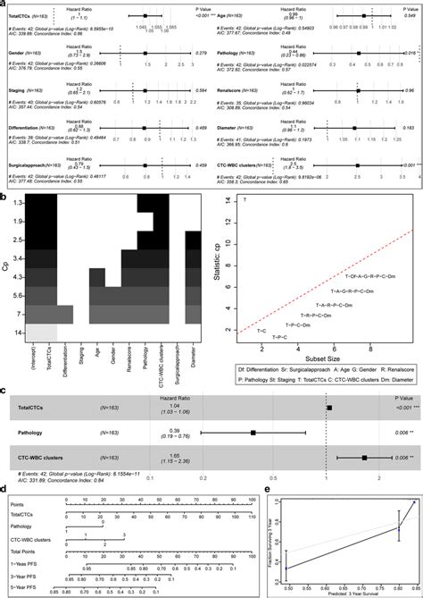 Cox Regression Model Of Mfs And Its Effect Verification A Univariate Download Scientific