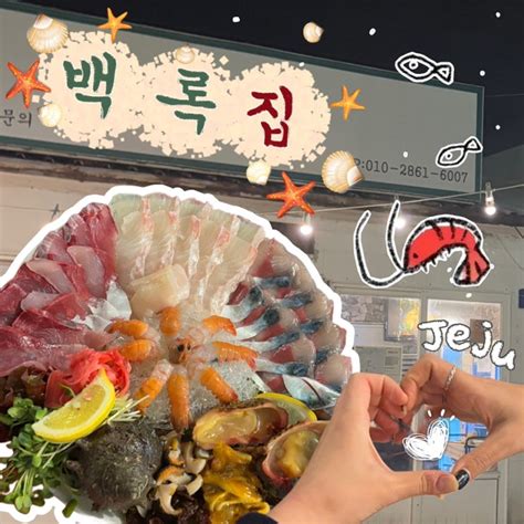 제주 함덕 백록집 함덕횟집 딱새우 모듬회 추천 네이버 블로그