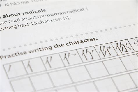 중국어 개념을 배우고 중국어로 당신을 의미하는 글쓰기 방법을 보여주는 한자 획을 보여주는 Tianzi Ge 디스플레이 그리드