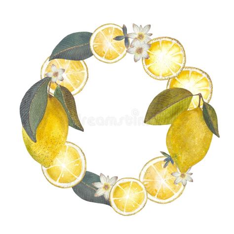 Watercolor Lemon Pattern With Leaves Ideal For Fruit And Kitchenthemed