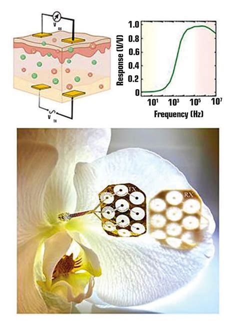 Wireless High Speed Low Power Communications For Implantable Devices