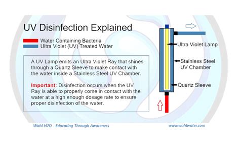 How Does A Uv Disinfection System Work At Kevin Proctor Blog