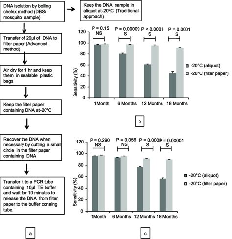 A Comparison Between Molecular Method And Conventional Morphological