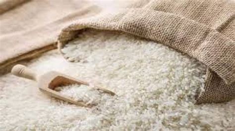India Sets New Hs Codes For Gi Tagged Rice Exports