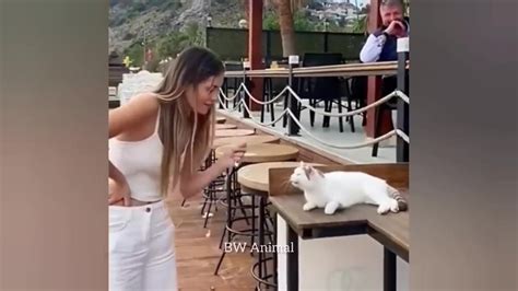 New Funny Animals 2024🐱🐵 Funniest Cutest Cats And Dogs😝 Part 138