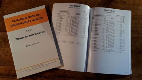 Cummins Dg Set Catalogue Your Complete Guide