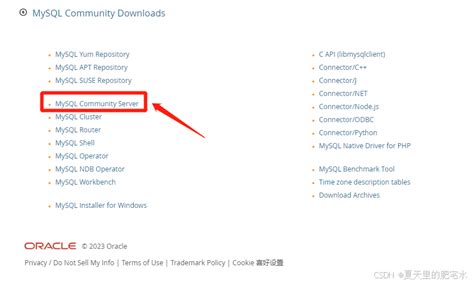 mysql下载教程——保姆级 mysql下载保姆级教程 csdn博客