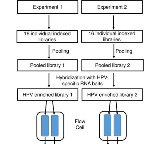 Experimental Design For Evaluation Of Reproducibility And Limit Of