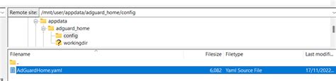 Fixing Adguard S Home Assistant Connection
