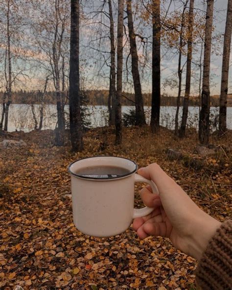 ⋆ 𝘱𝘪𝘯𝘵𝘦𝘳𝘦𝘴𝘵 𝘥𝘳𝘢𝘻𝘴𝘵𝘪𝘤4𝘯𝘢𝘺𝘢ᝰ🌸𑁯 Autumn Aesthetic Autumn Morning