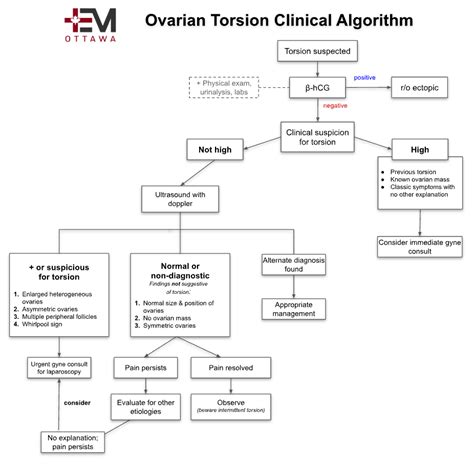 experiential learning with a twist ovarian torsion emottawa blog