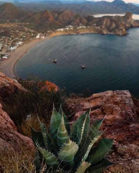 Playa El Colorado Escapadas Por México Desconocido