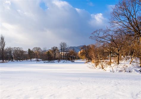 久しぶりのアカゲラ スチュワート チゾムの写真館