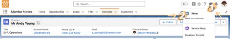 Mambo Merge Locate Your Salesforce Id