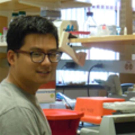 Jie Xu Phd Tufts University Ma Tufts Department Of