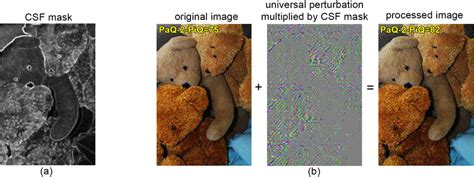 Csf Mask A And Proportional Application Of Paq 2 Piq Universal