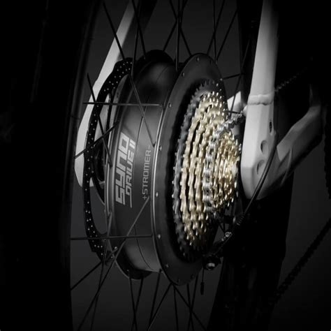 Unterwegs Mit Bis Zu 45 Km H Auf Einem S Pedelec Von Stromer And Bikester Ch