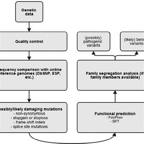 Global Overview Of Genetic Data Analysis By Filtering For Multiple