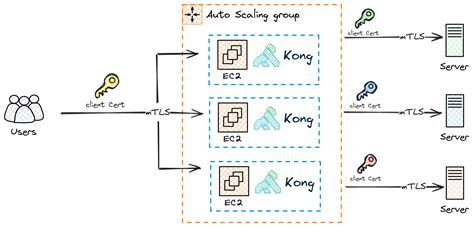 Securing Apis With Kong And Mtls Everything You Need To Know