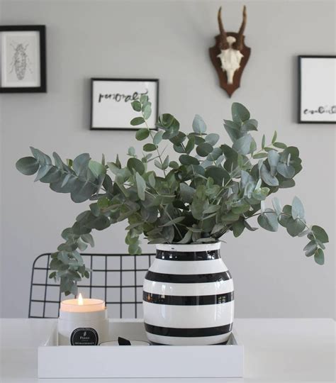 16 Φυτα ιδέες φυτά φυτά εσωτερικού χώρου γάμος ρουστίκ